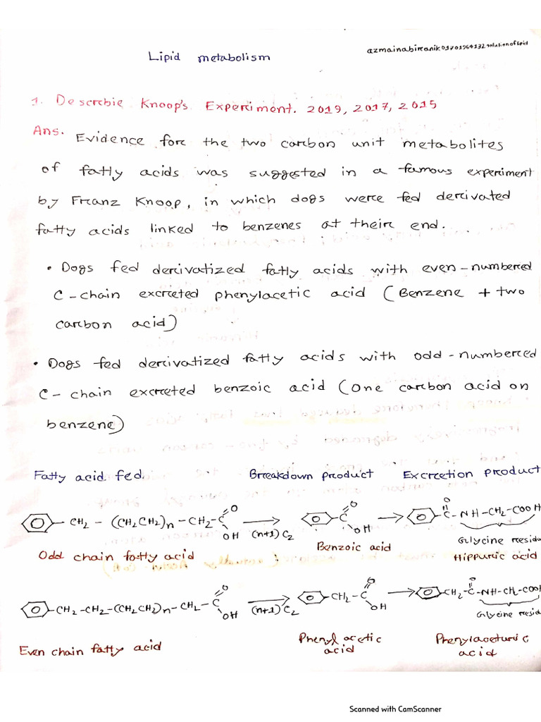 Solution of Lipid Metabolism | PDF