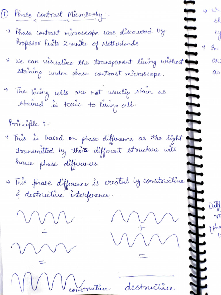 Microbiology Notes 4 241012 210428 | PDF