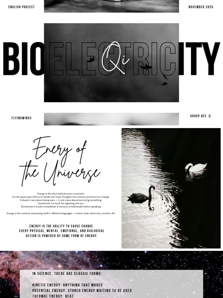 Bioelectricity & Qi by Bahara Rahmati PDF | PDF | Qi