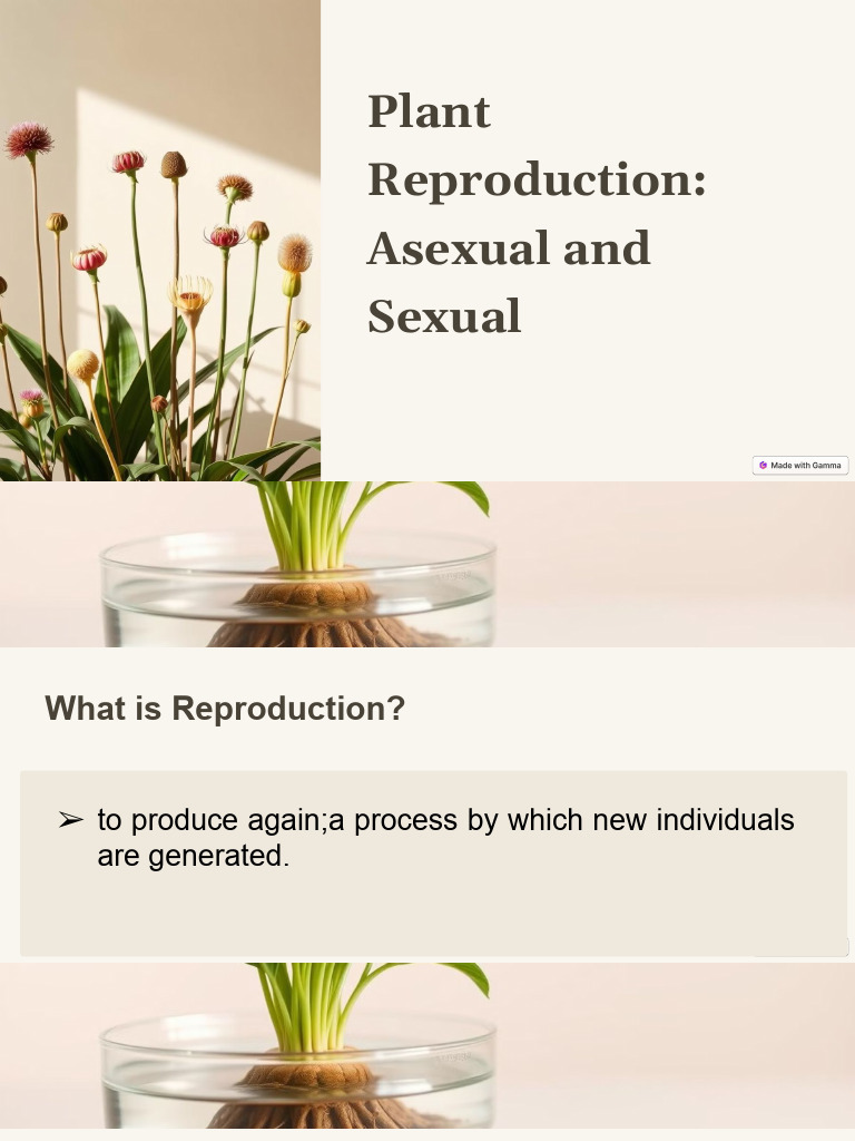 Q2 W5 Plant-Reproduction-Asexual-and-Sexual | PDF | Plant Reproduction ...