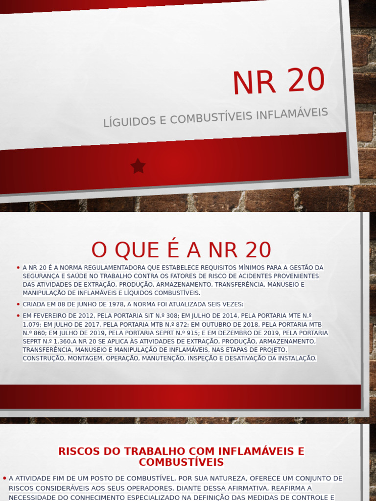 Nr 20 | PDF | Combustão | Química