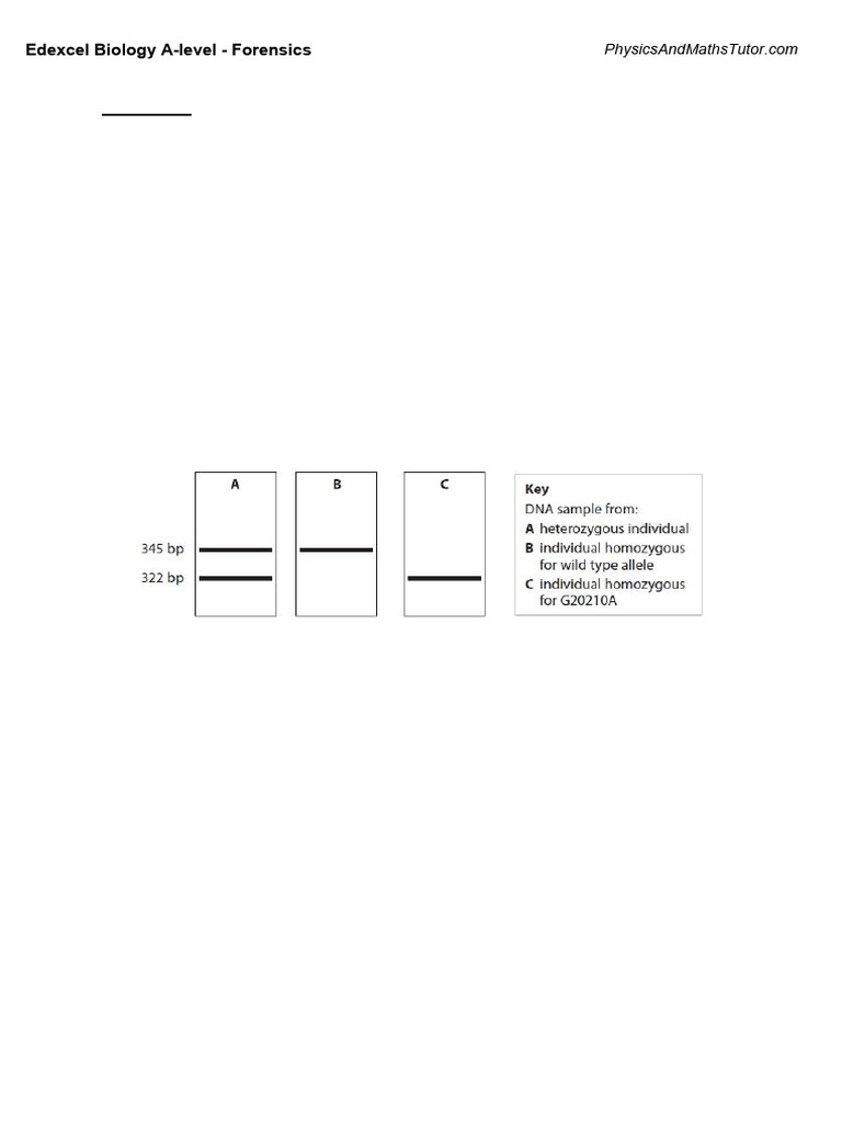 Forensics | PDF | Polymerase Chain Reaction | Dna Sequencing