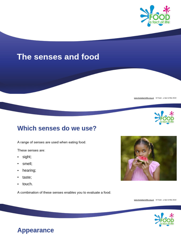 The Senses and Food PPT 1416c | PDF | Umami | Taste