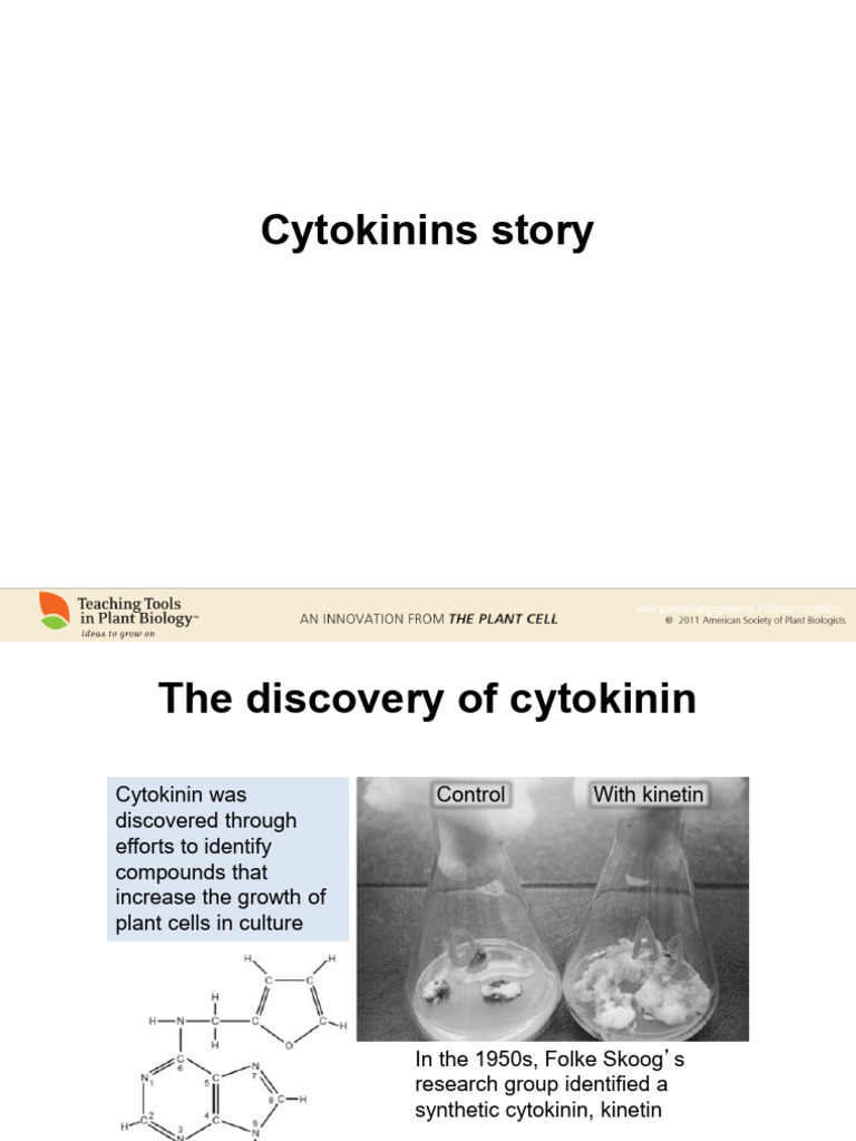 Dbs PG Sem9 Cytokinin 2025 MD | PDF | Biology | Plants