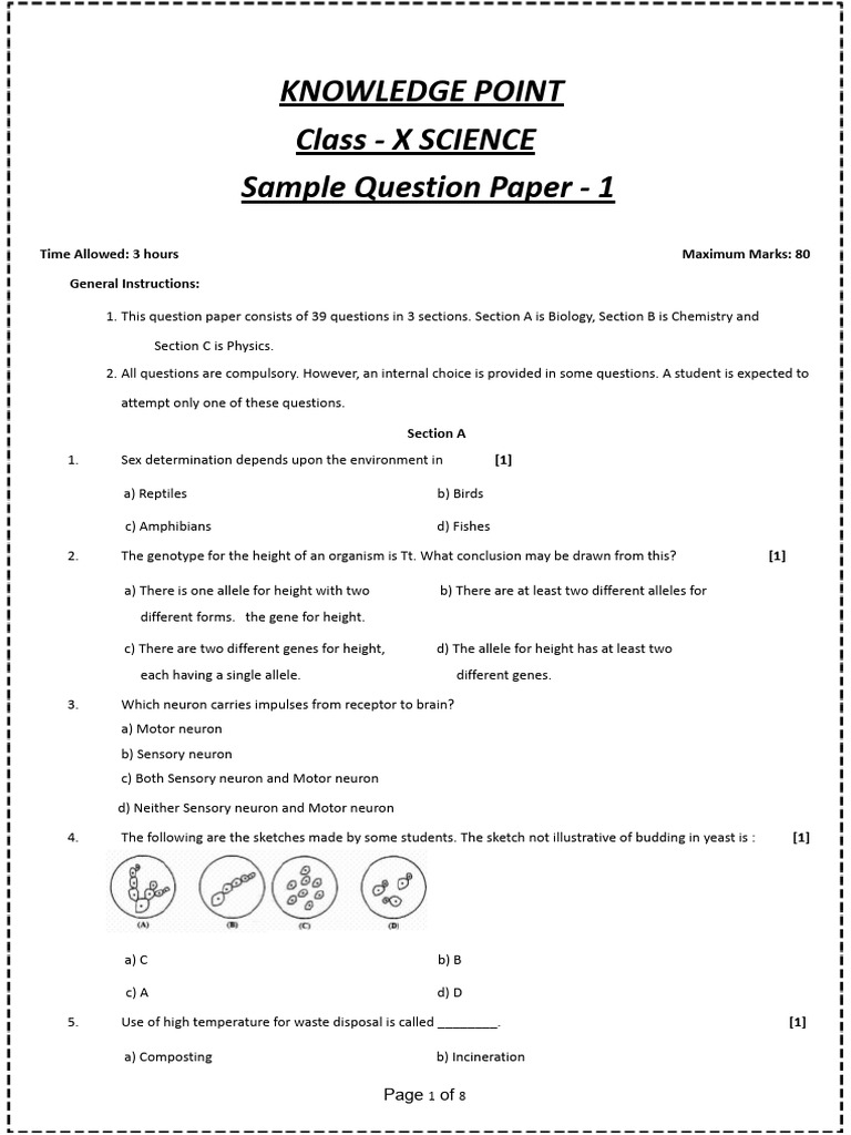 Knowledge Point Science Sample Paper | PDF | Salt (Chemistry) | Sodium ...