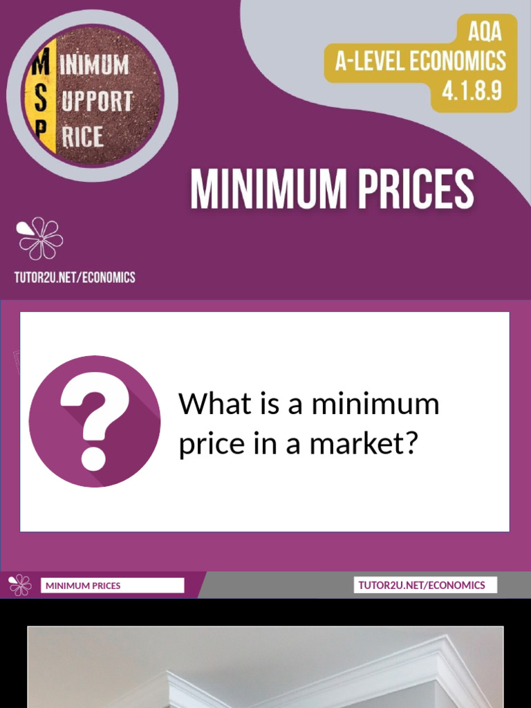 Understanding Minimum Prices in Markets | PDF | Labour Economics | Demand