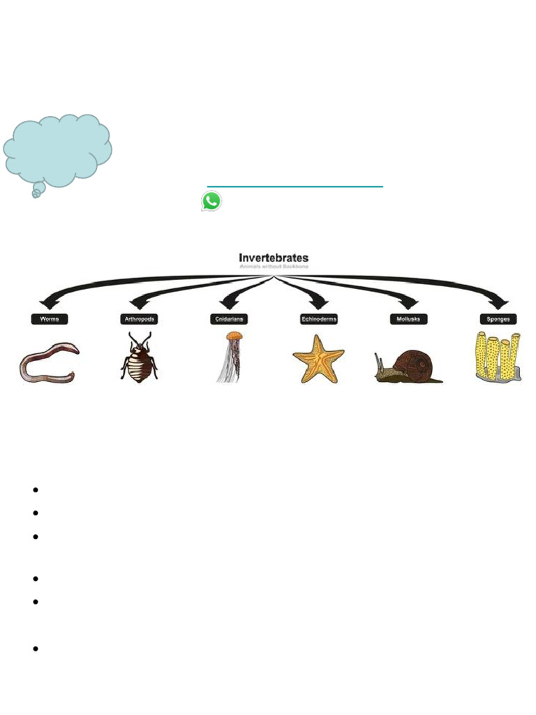 Bio1103, Presentation 2023 | PDF | Invertebrate | Zoology