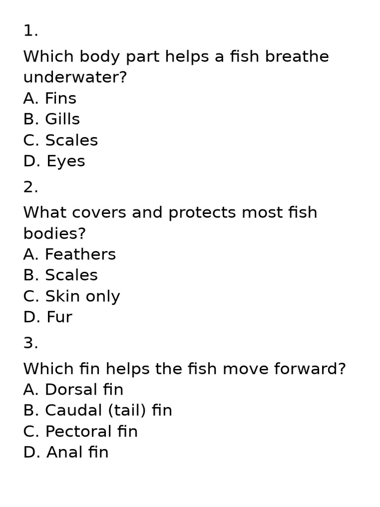 Fish Anatomy and Adaptations Quiz | PDF | Fish | Fin