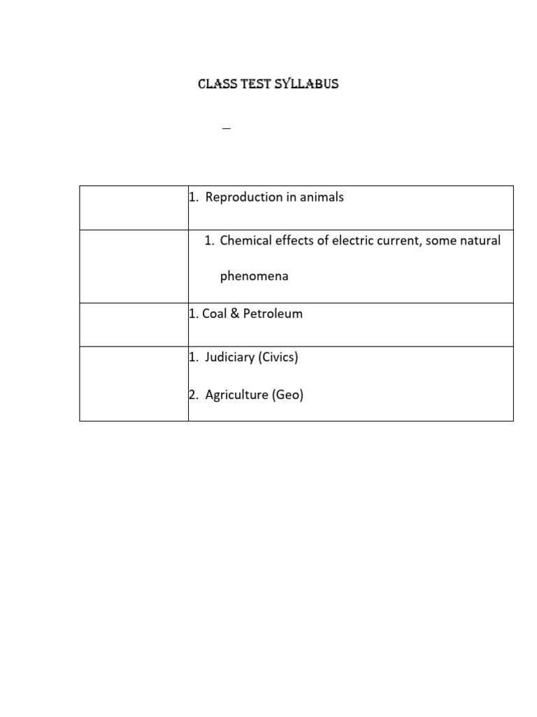 Class VIII Test Syllabus Overview | PDF