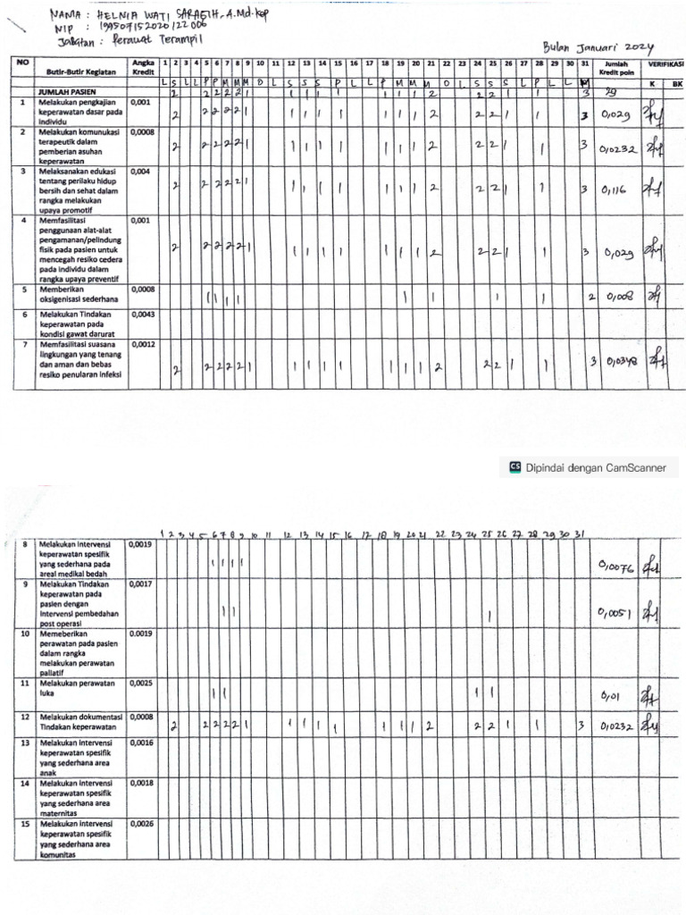 Logbook Januari-Desember 2024 Helnia | PDF