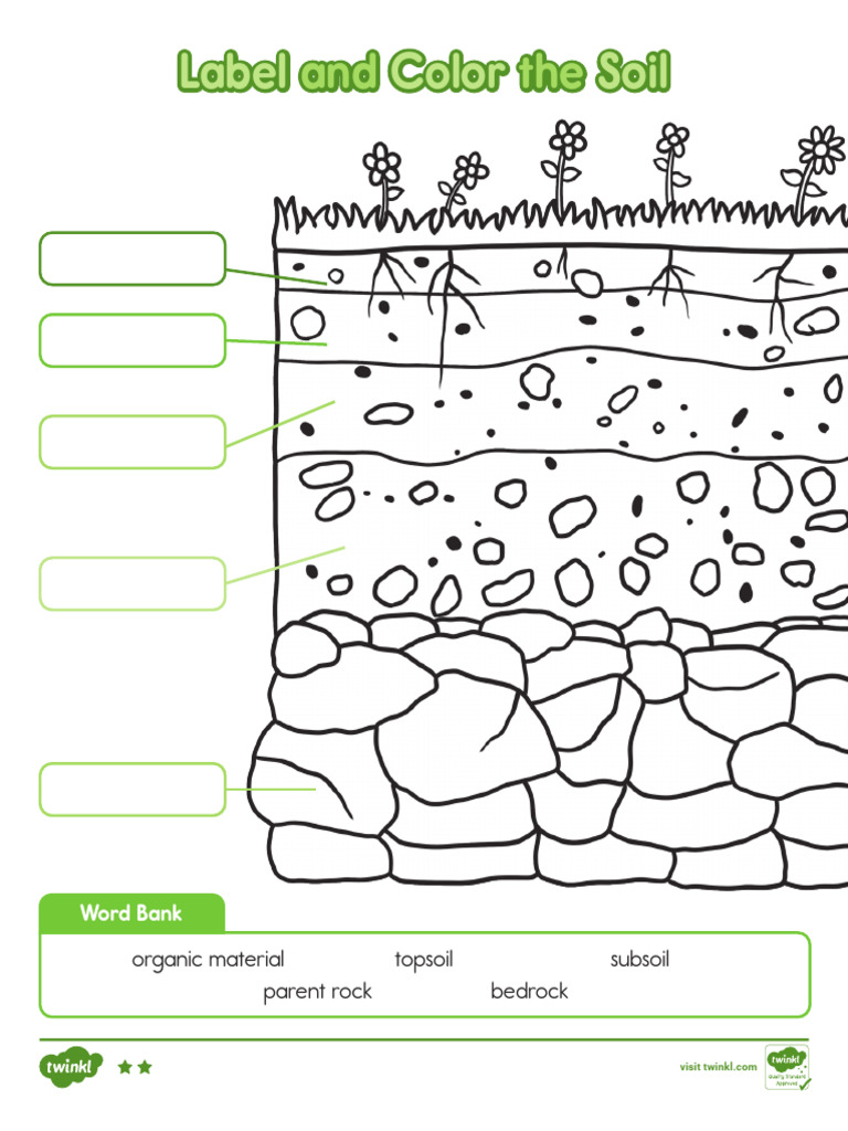 2 Star Color Label and Color The Soil Differentiated Activity | PDF