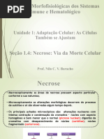 Tipos de Necrose e Suas Características | PDF | Necrose | Biologia