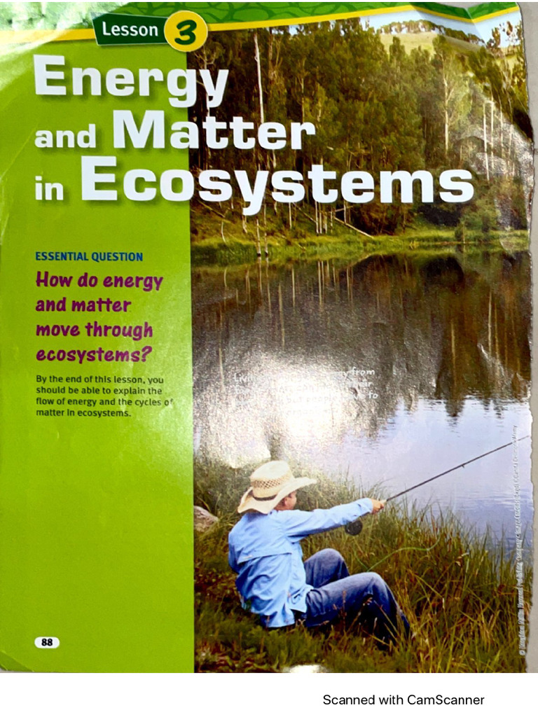 Lesson 25 Energy and Matter in Ecosystems Fusion TextBook | PDF