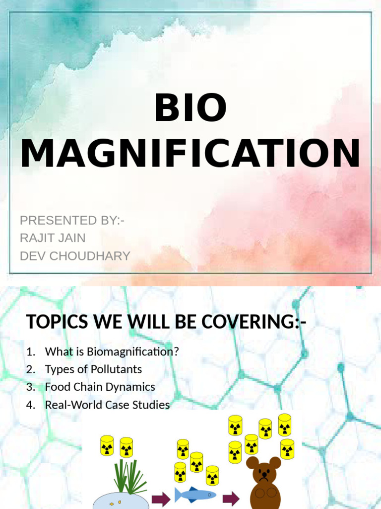 Bio Magnification (1) | PDF