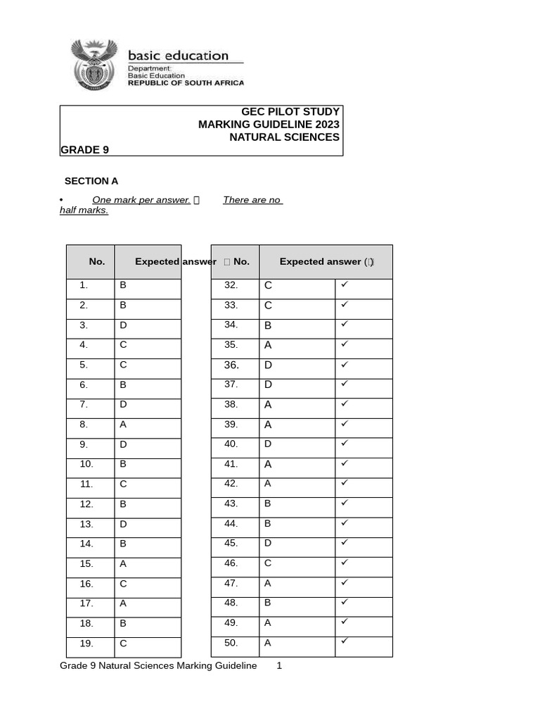Grade 9 NS English Marking Guideline (1) | PDF | Water | Water Vapor
