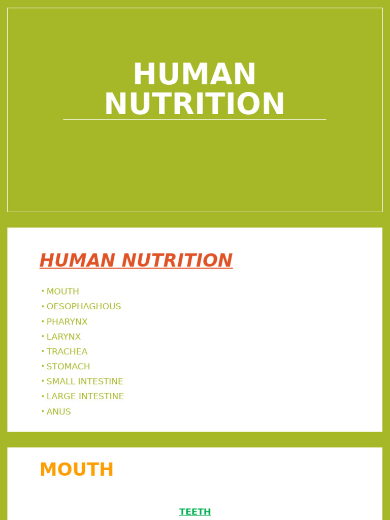 Human Nutrition and Human Organ With Human Anatomy | PDF