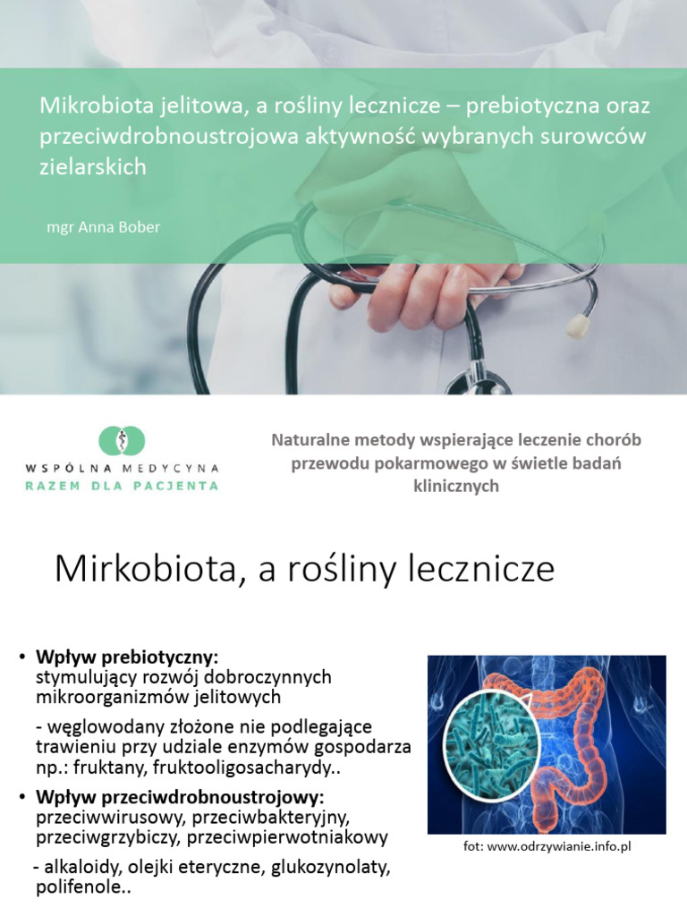 Anna Bober | PDF