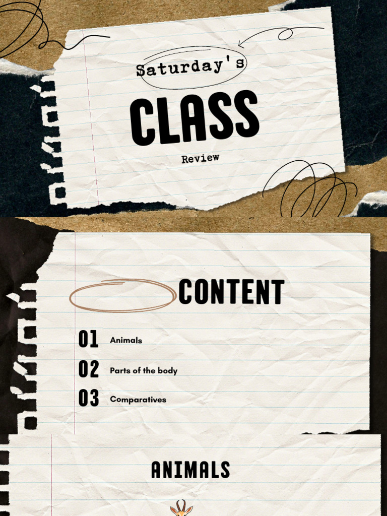 Saturday's Class Review | PDF | Adjective | Word