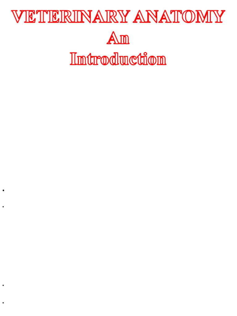 Veterinary Anatomy Course Overview | PDF | Anatomical Terms Of Location ...