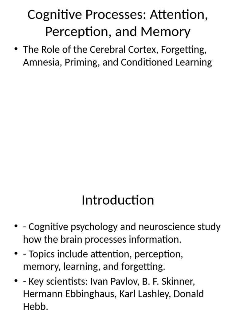 Cognitive_Processes_Presentation | PDF | Memory | Recall (Memory)