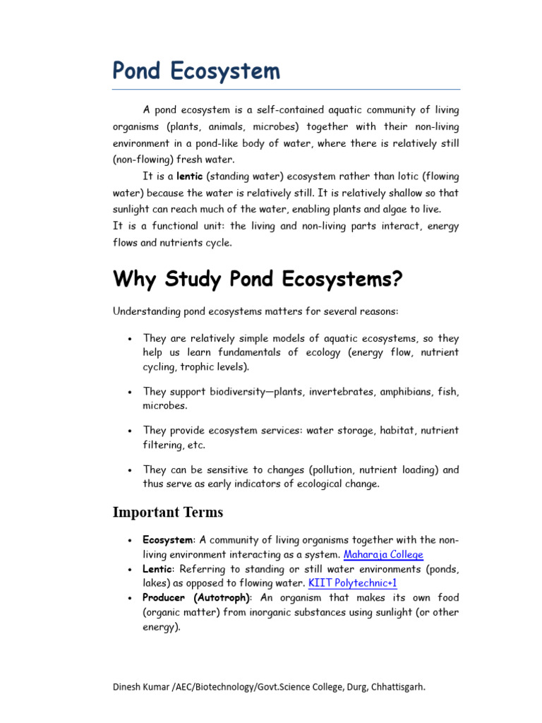 Pond Ecosystem | PDF | Aquatic Ecosystem | Ecosystem