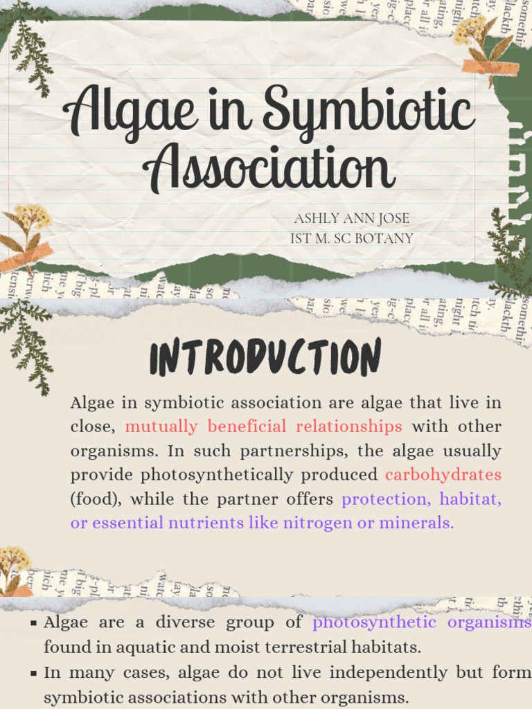 Symbiotic Relationships of Algae | PDF | Coral | Photosynthesis