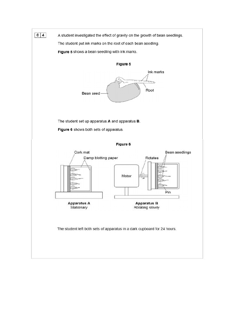 paper 2 2024 | PDF