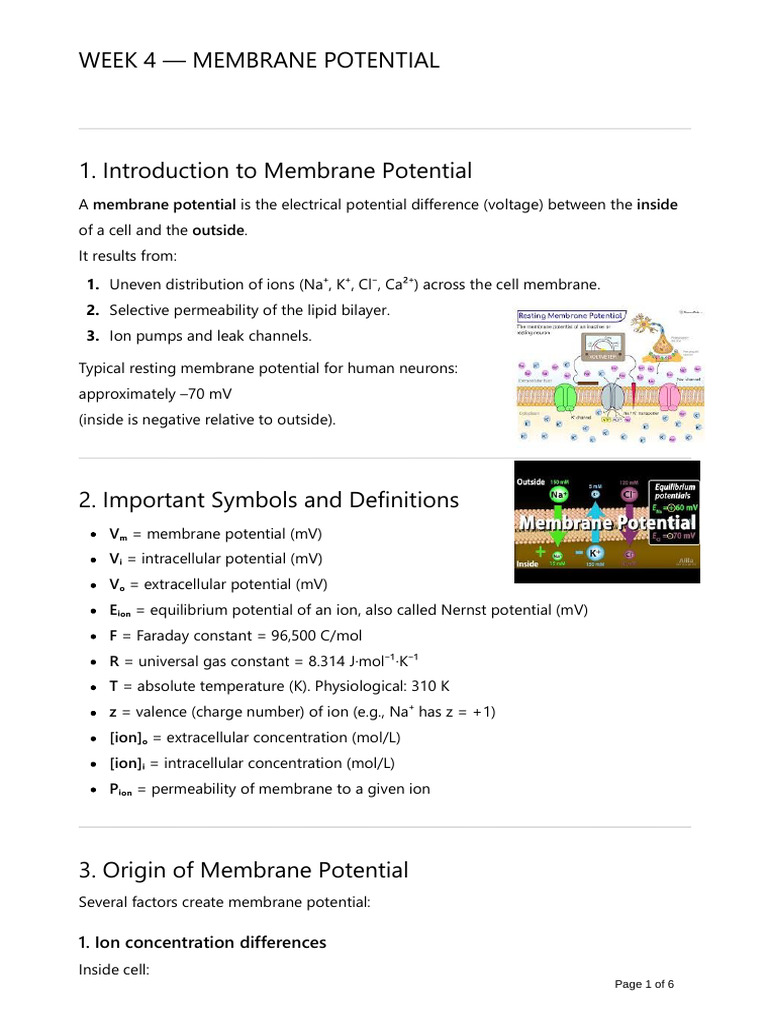 Understanding Membrane Potential Basics | PDF | Membrane Potential ...