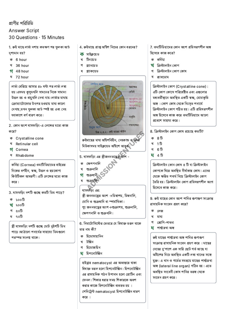 TU RE S: Answer Script 30 Questions 15 Minutes | PDF