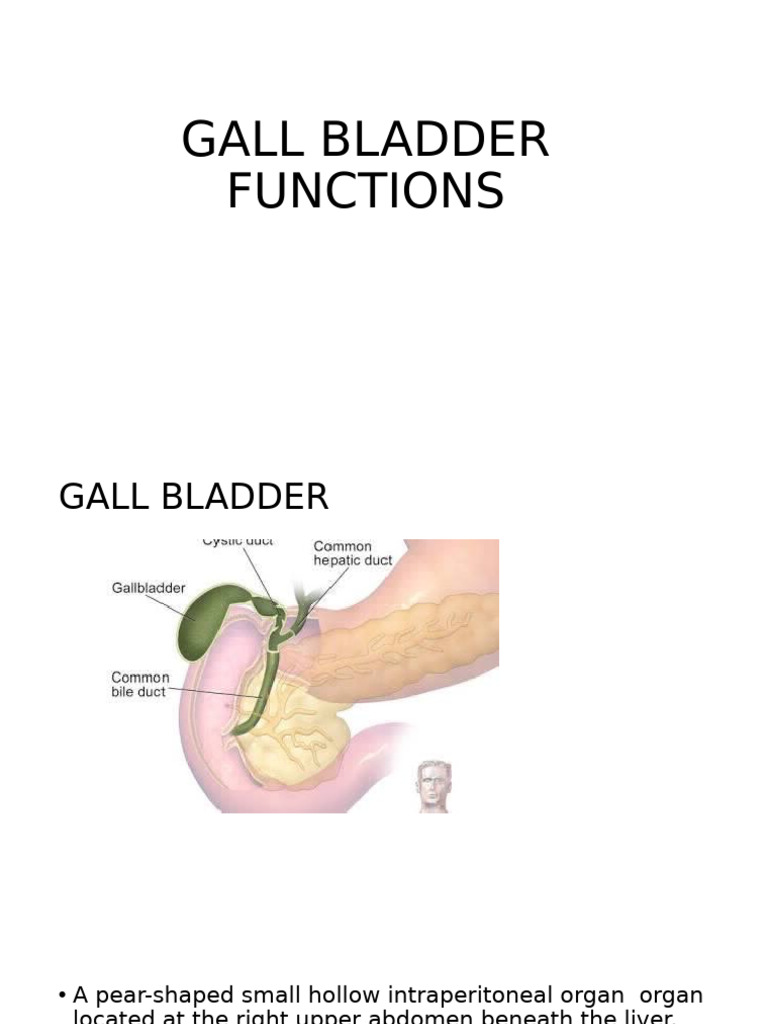 GALL BLADDER FUNCTIONS 200L | PDF | Gallbladder | Bile