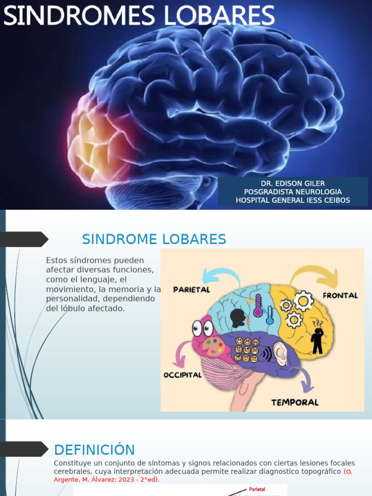 Síndromes Lobar Cerebral Diagnóstico Y Funciones Pdf Lóbulo