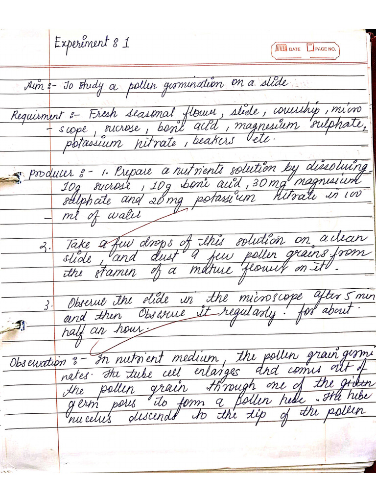 Biology Cbse Practical | PDF