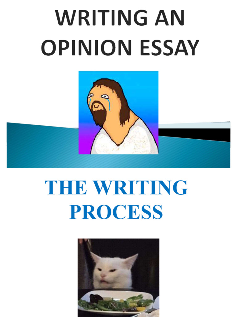Writing - An Opinion Essay | PDF | Human Communication