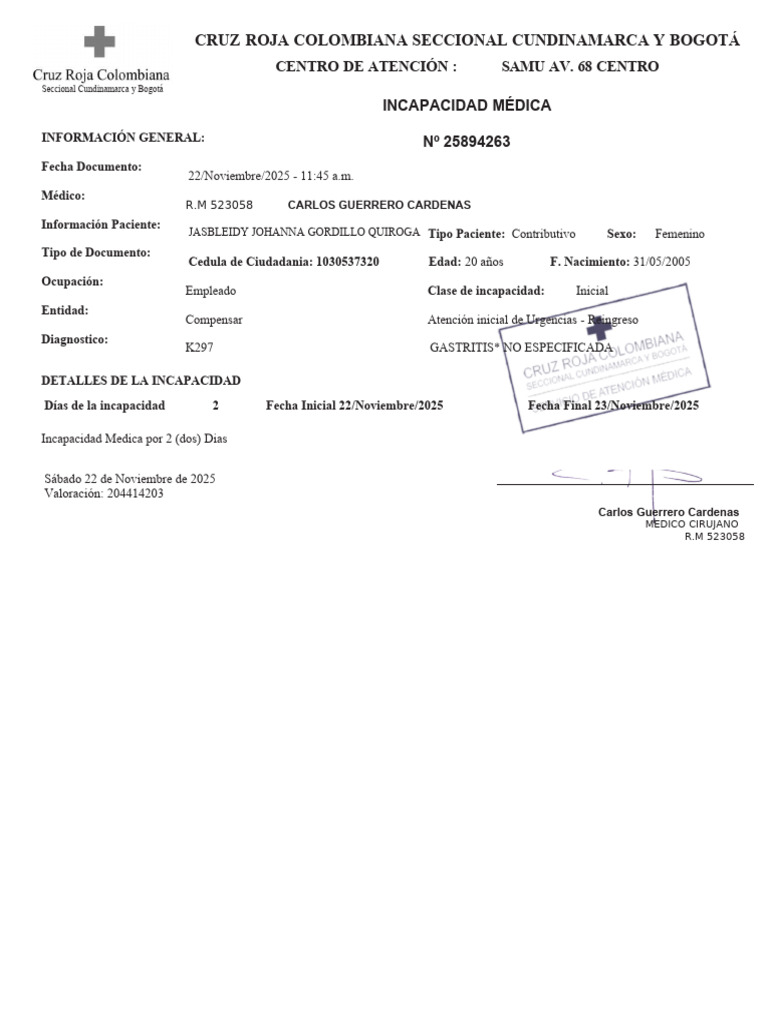 Cruz Roja Incapacidad | PDF