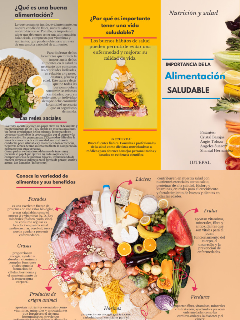 Triptico Nutricion Con Fotos Salmon | PDF | Vitamina | Antioxidante