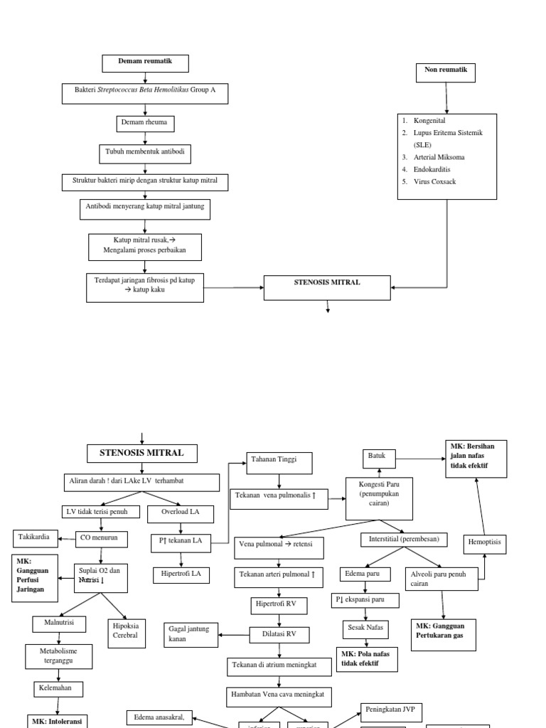 Stenosis Mitral dan Penatalaksanaannya | PDF | Kesehatan Holistik ...