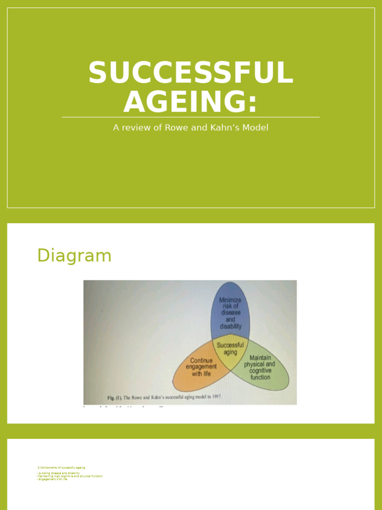 Successful Ageing | PDF