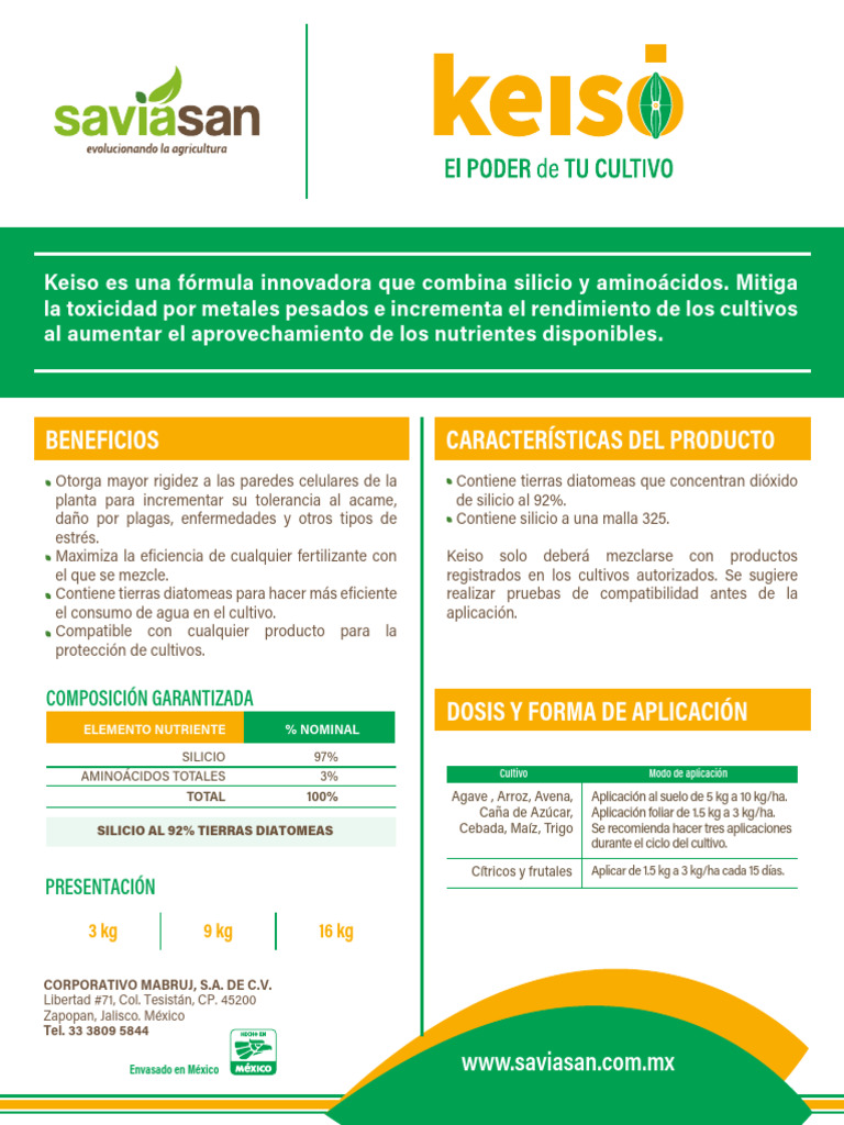 Keiso FT | PDF