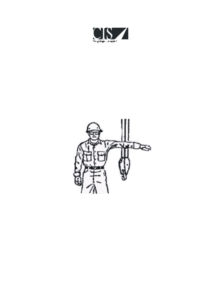 Crane Operator Manual | PDF | Crane (Machine) | Personal Protective ...
