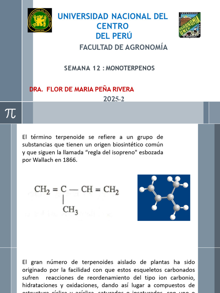 Monoterpenos: Estructura y Aplicaciones | PDF