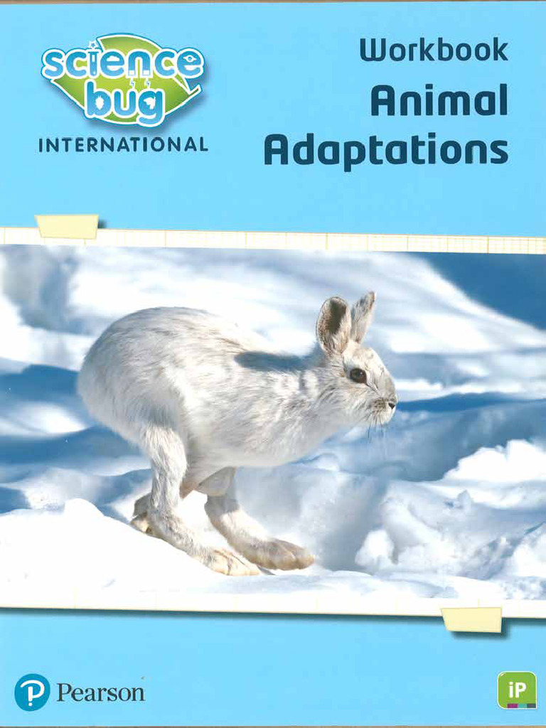 Y3 Animal Adaptations (Work Book) | PDF