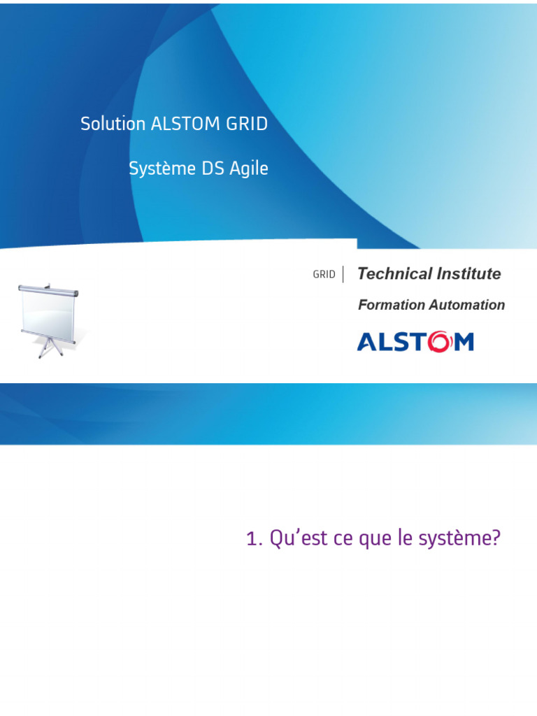 DS Agile System Overview and Functions | PDF | Computing