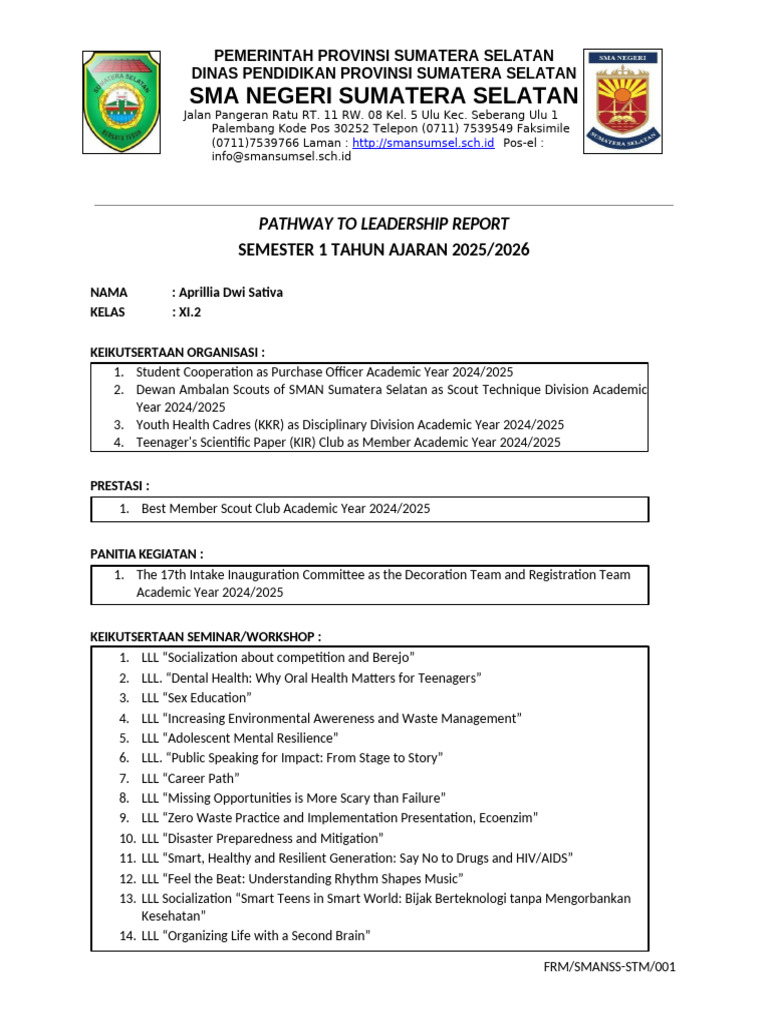 Template Pathway To Leadership Report | PDF