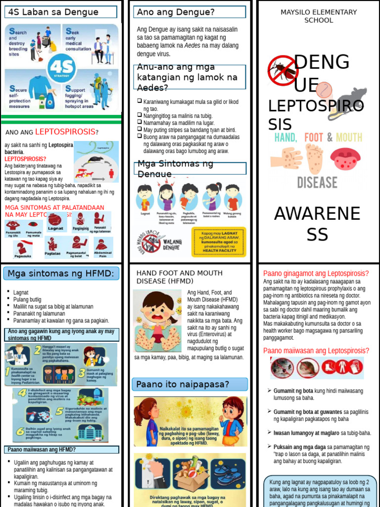 Dengue HFMD Leptos 2025 Flyers Mayes | PDF