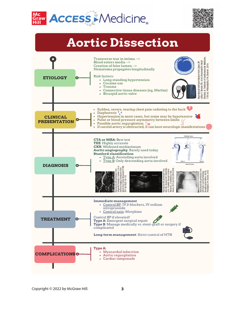 Acm - Igm cs116 Fig001.info 1640090666.4715 | PDF | Thorax (Human ...