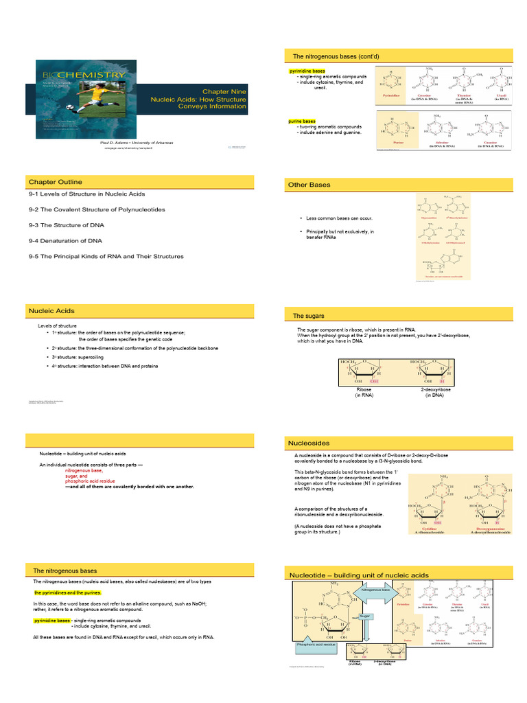 Nucleic Acids Part 1 Asynchronous Class | PDF | Nucleotides | Nucleic Acids
