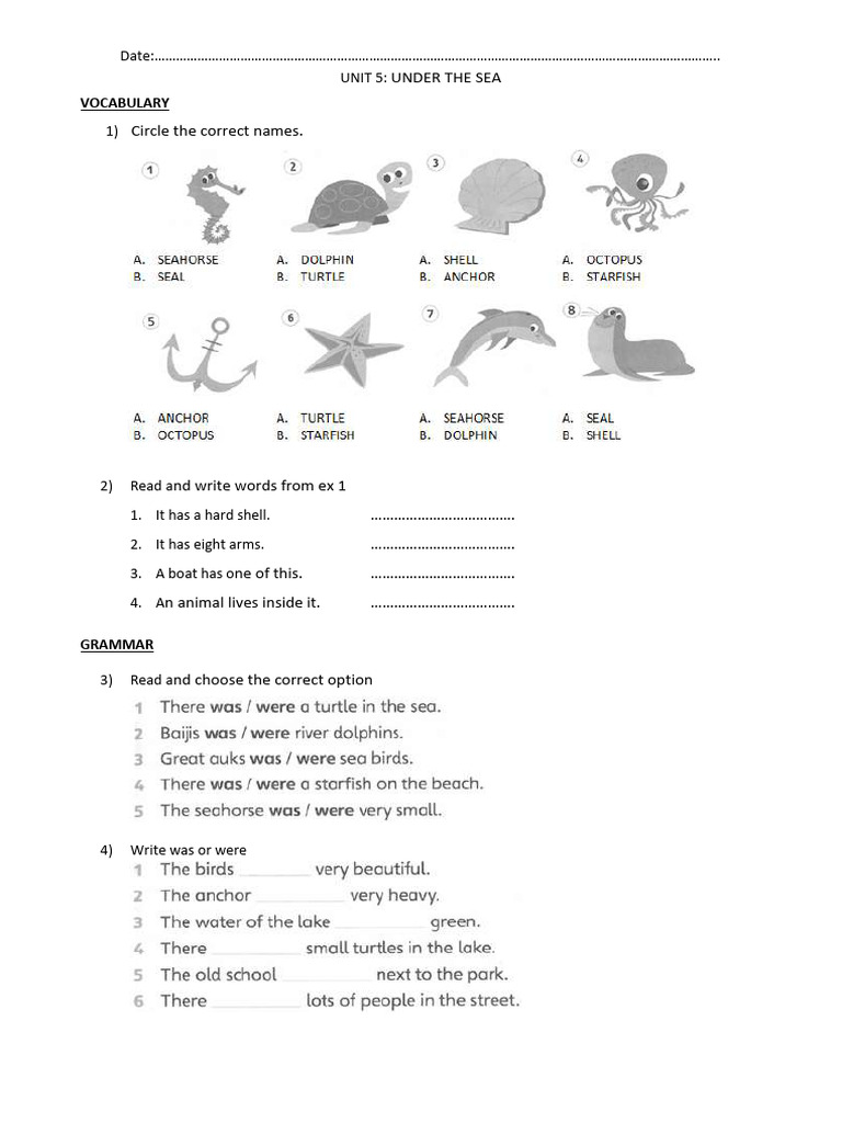 Under the Sea Vocabulary and Grammar | PDF