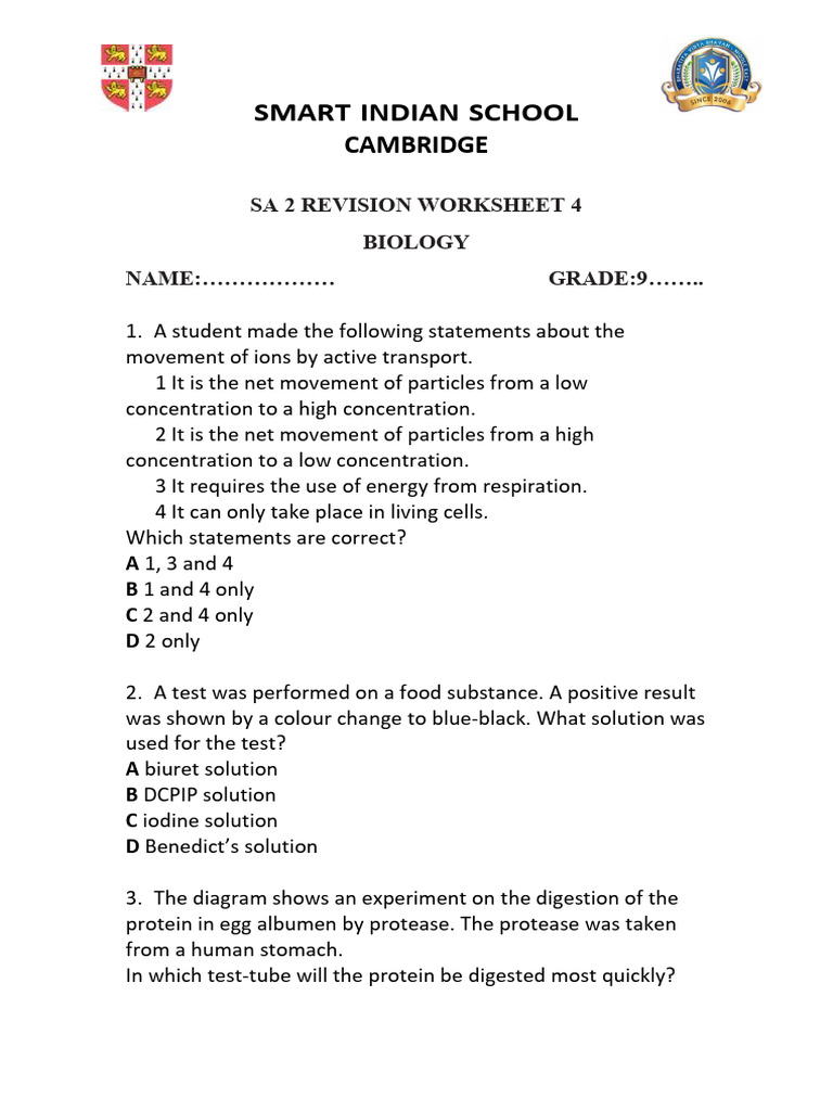 g9 Sa 2 Revision Worksheet 4 | PDF | Digestion | Small Intestine