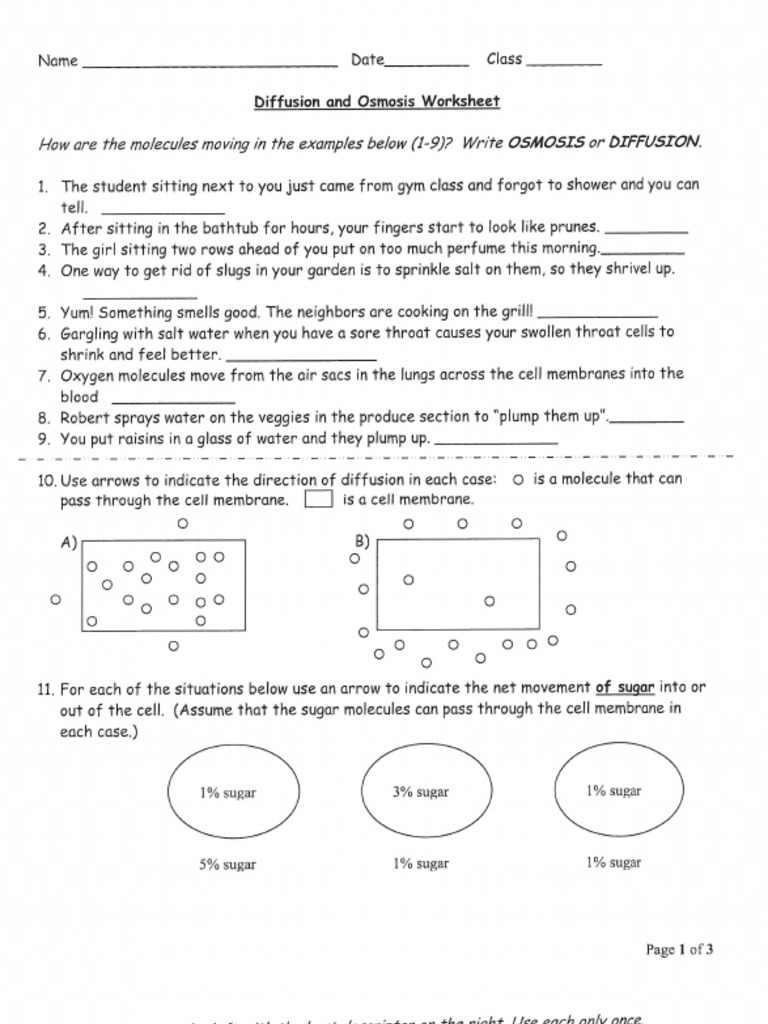 Alexis Gimmaka - Osmosis vs Diffusion Worksheet | PDF