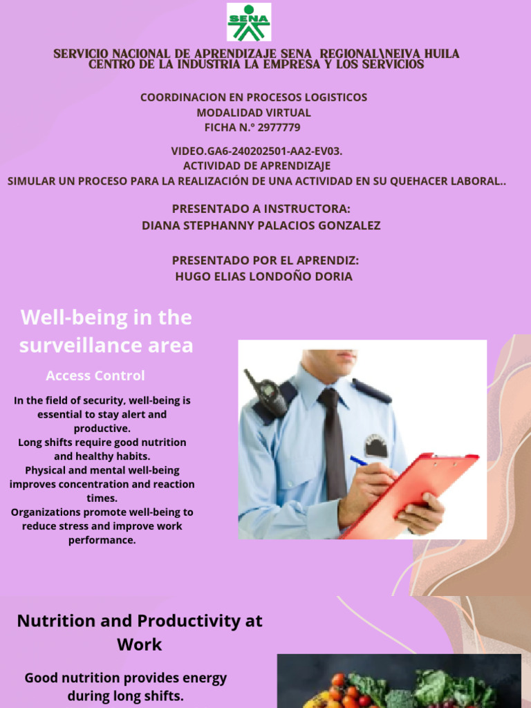 Workplace Well-Being in Security Roles | PDF | Well Being ...